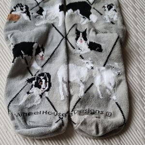wheelhouse | Accessories | Last Pair New Border Collie Socks | Poshmark